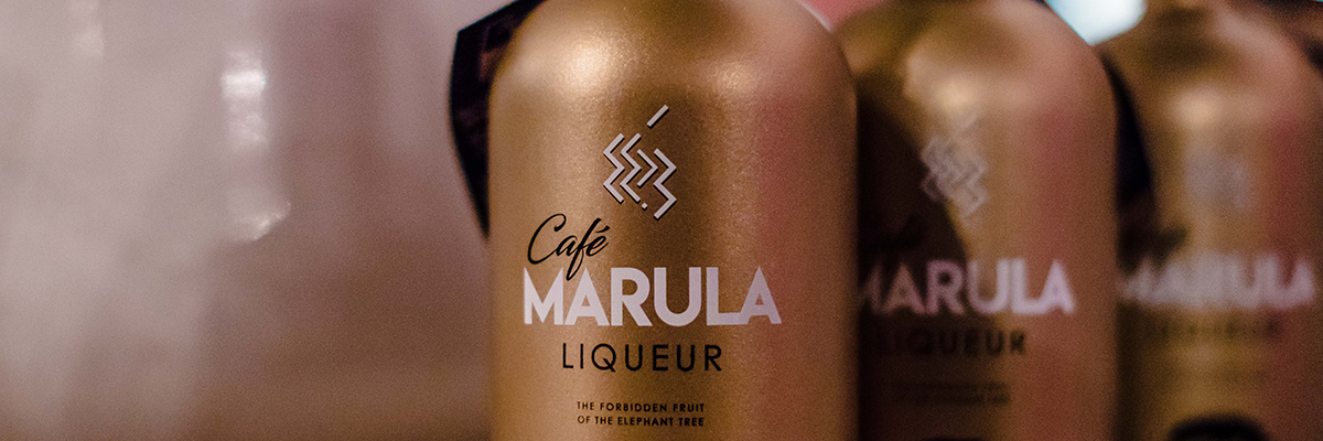 Café Marula - THE FORBIDDEN FRUIT OF THE ELEPHANT TREE - Jet Import